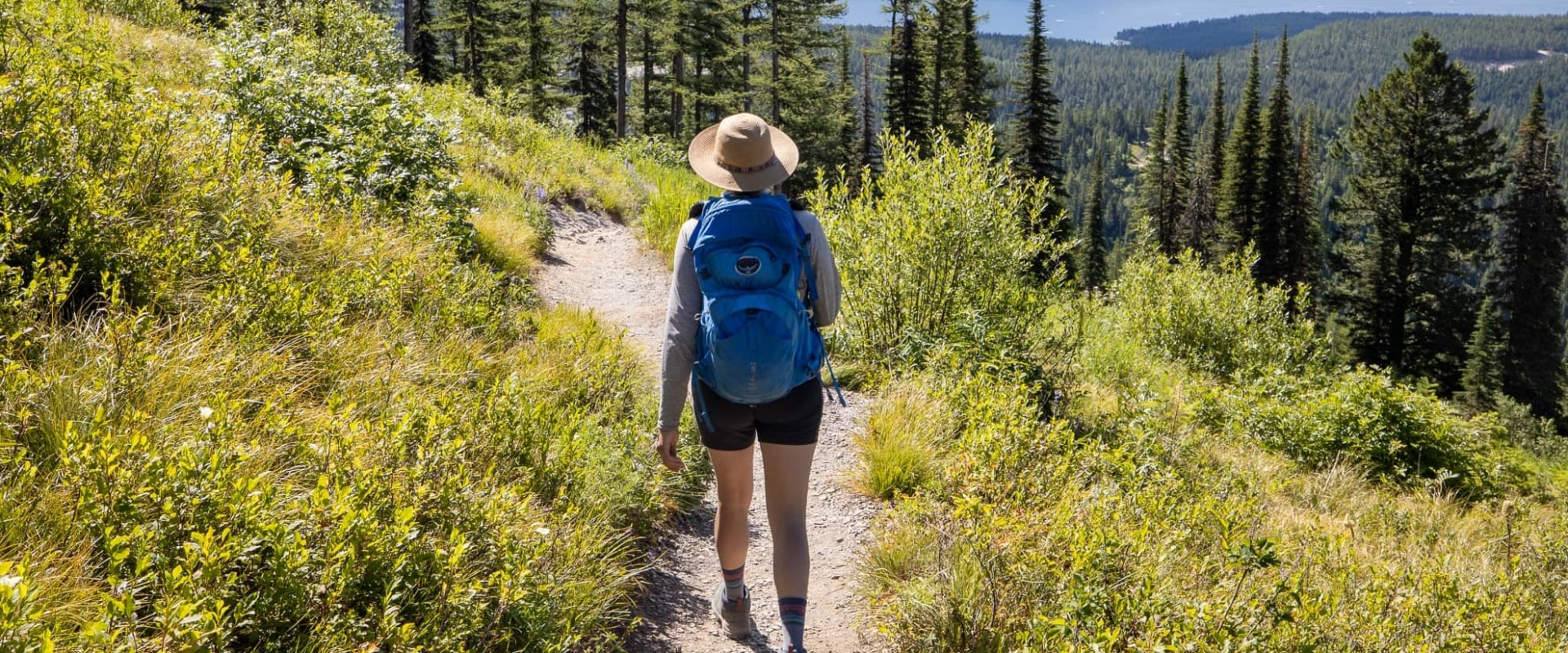 Navigating Trails and Terrain: Tips and Advice for Backpackers